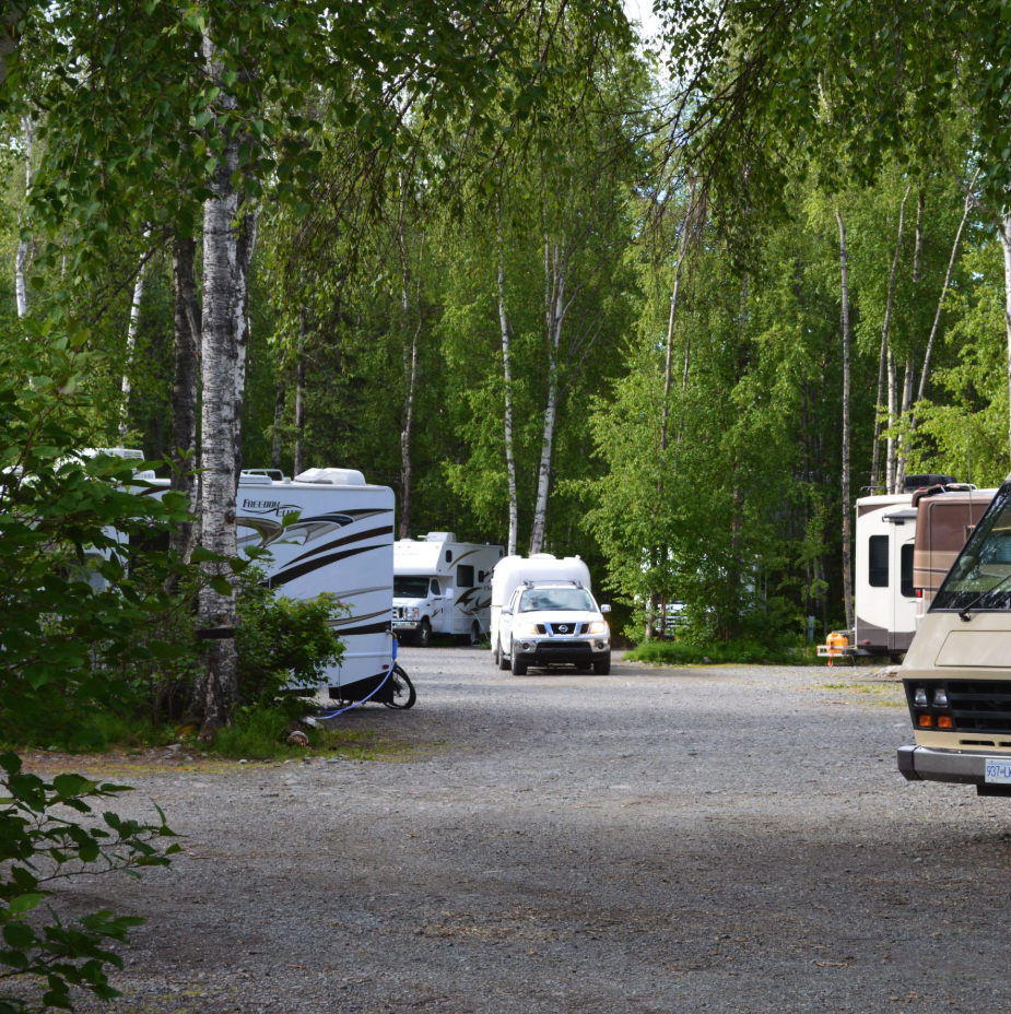 Talkeetna Camper Park - Fireflies & Campfires